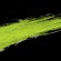 Ripped Racing Graphic 005 | School of Racing Graphics